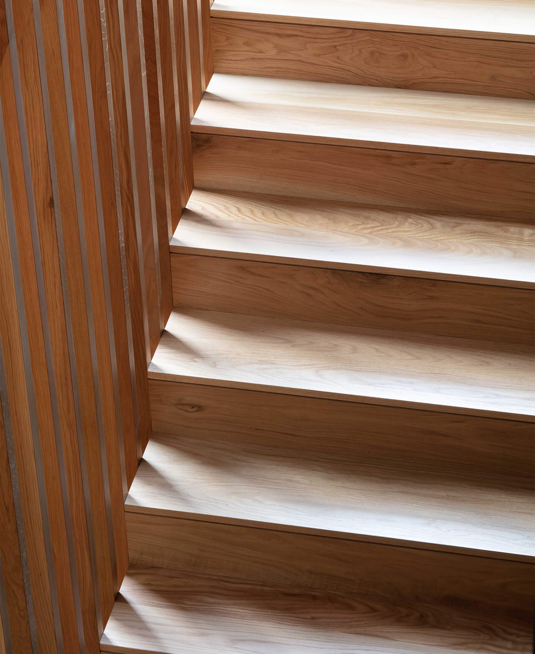 Tamarama | Modular Homes NSW | Modscape + Modbotics