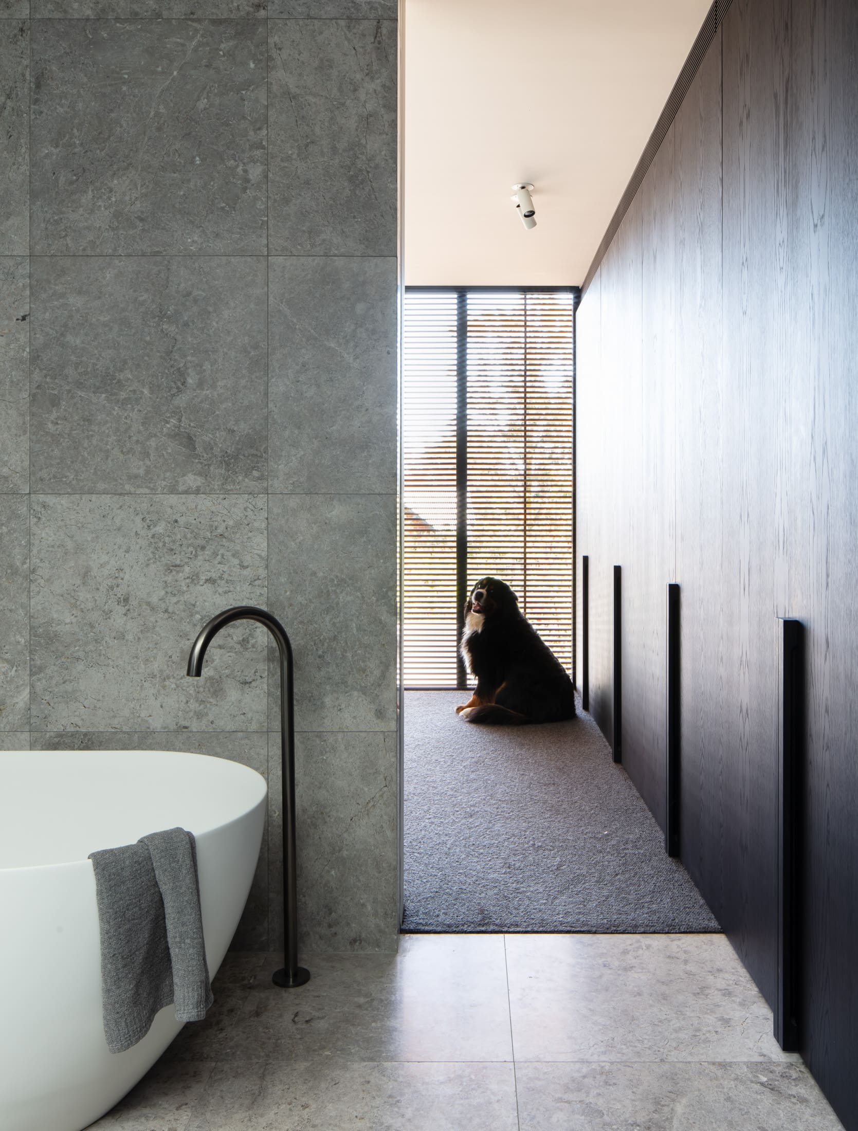 Albert Park - Modscape + Modbotics