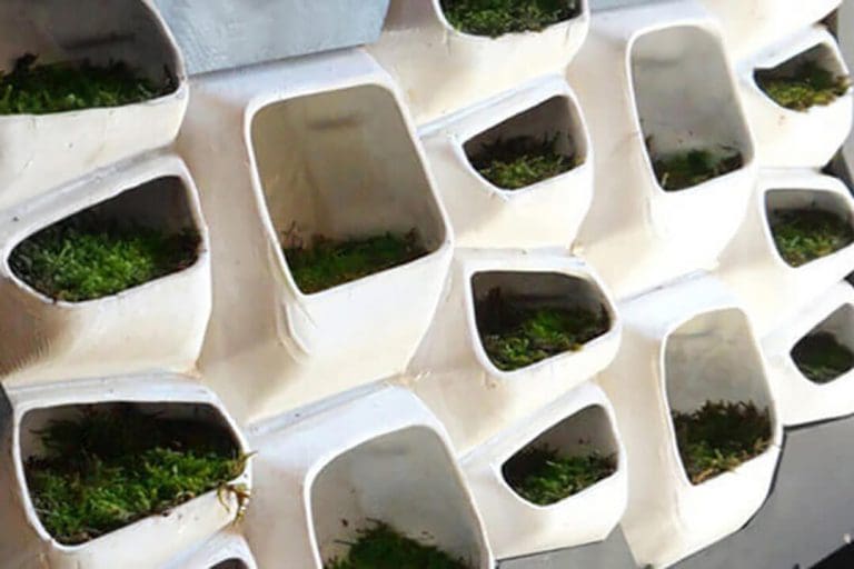 Modular Green Wall That Generates Energy - Modscape + Modbotics