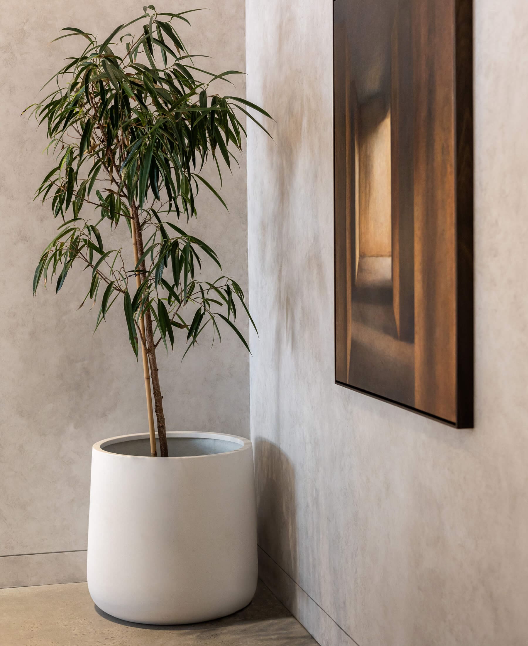 Meet The Expert: Bethany Williamson, Landscape Architect - Modscape + Modbotics