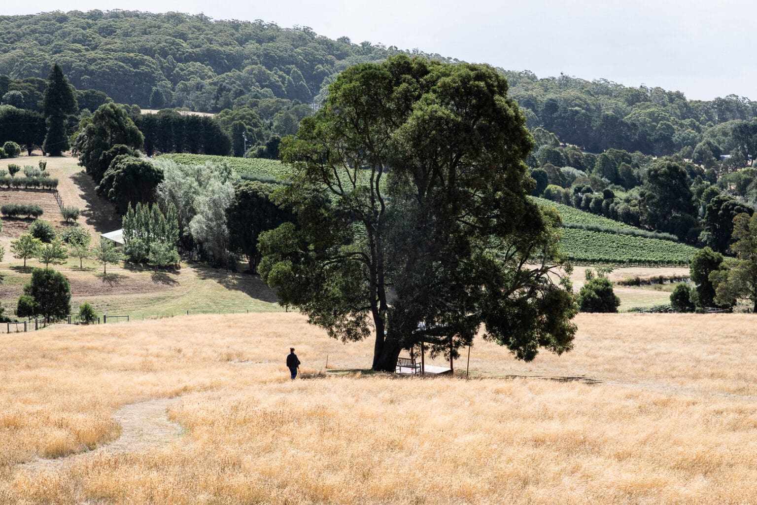 Sustainability | Modular Sustainable Building | Modscape + Modbotics